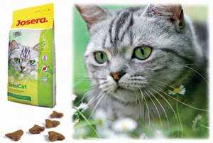 Josera Super-premium food for cats and dogs in Minsk - Josera bai