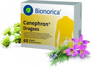 How to give Canephron to a cat: instructions for using tablets and ...